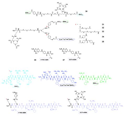 Structures Of Grpr And Npy Y 1 R Bispecific And Grpr And Folate