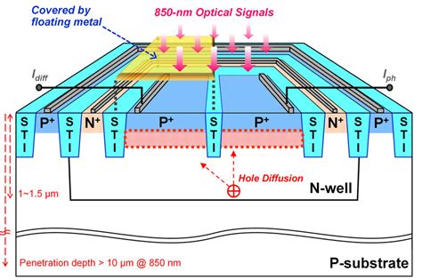 Structure Of The Fabricated Sm Apd Download Scientific Diagram