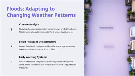 Disasters Lessons Learned And Preparationpptx