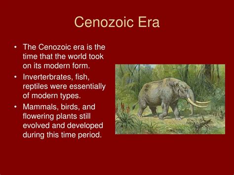 The Cenozoic Era Cenozoic Era Xijmh