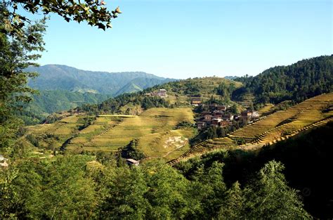 계단식 밭 용 척 계단식 밭 밭 고 화질 촬영 도 배경 계단식 논 농지 마을 배경 일러스트 및 사진 무료 다운로드 Pngtree