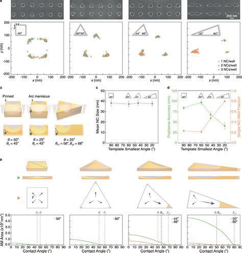 Deterministic Nanocrystal Placement With An Asymmetric Meniscus A