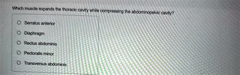 Which Muscle Expands The Thoracic Cavity While Compressing The