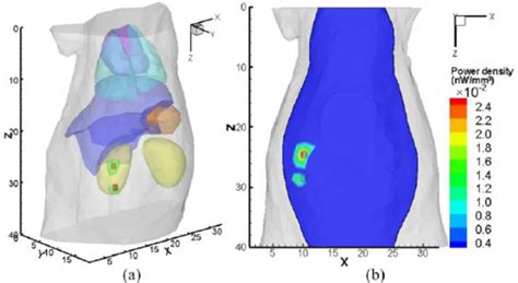 Reconstruction Results In The Double Source Case A The Isosurface Download Scientific Diagram