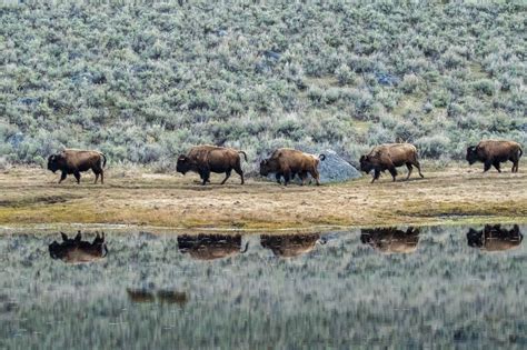 Cowboy State Daily Show With Jake Thursday May 8 2025 Join Us Live Weekday Mornings From 6