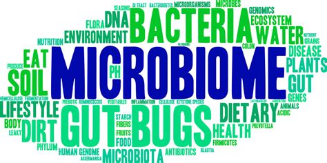 Prebiotics Have You Fed Your Good Gut Bacteria Today The