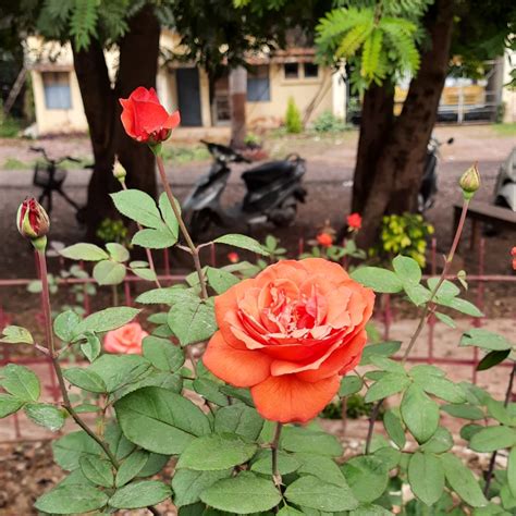 Html Computet Application Assignment Teachmint