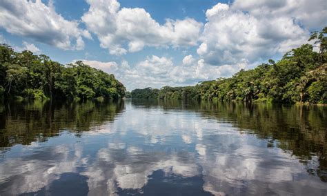 Congo Rain Forest And Basin Places Wwf