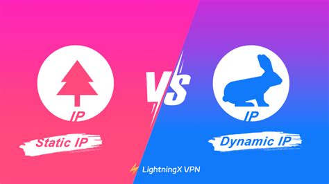 Static Ip Vs Dynamic Ip Address Differences Explained