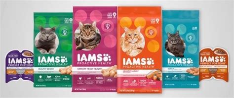 Iams Cat Food Review Everything You Need To Know