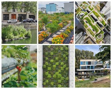 Eispb2025 Naturebasedsolutions Environmentalintegration