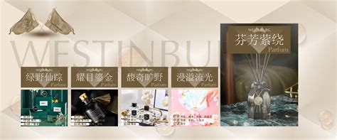 WESTINBURG清洁旗舰店 京东