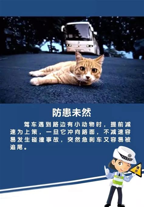 防患于未然素材 防患于未然 防患于未然图片 大山谷图库
