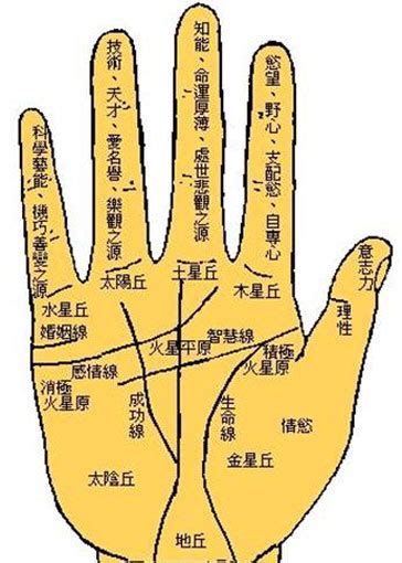 左手掌疼痛示意图 手掌疼痛示意图 左手掌痛的位置示意图 大山谷图库