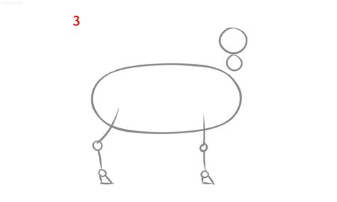 Sheep Drawing How To Draw A Sheep