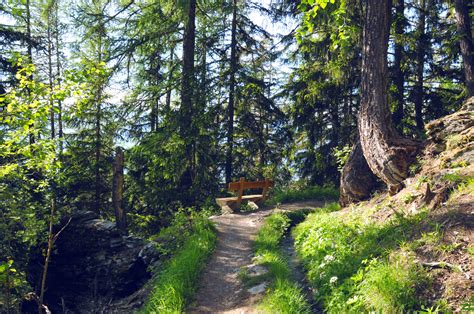Suonen Von Vercorin Und Ricard Wallis Schweiz