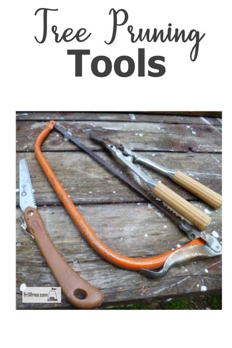 Tree Pruning Tools Sharp Is Best