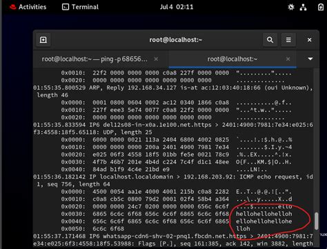 How To Store The Output Of A Command In A Variable Using Python By