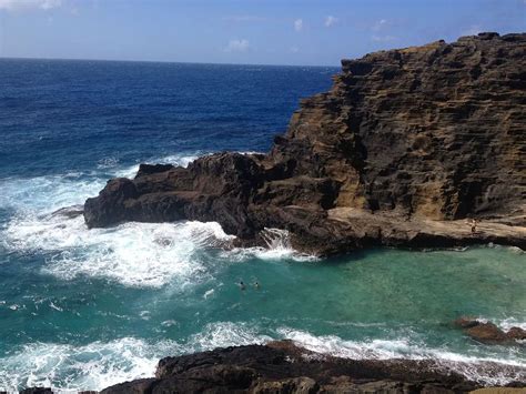 Cockroach Cove Swim Near Honolulu Hawaii Free Arenas