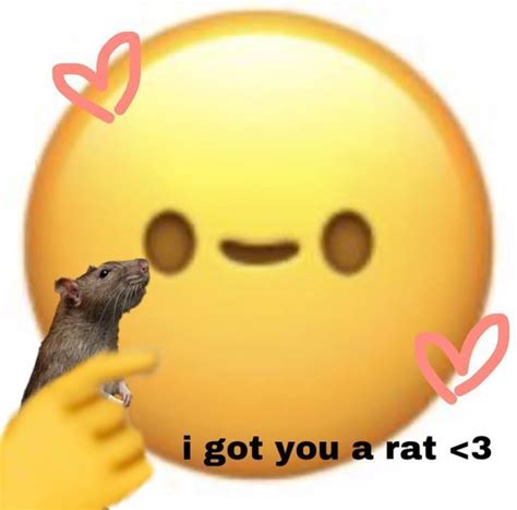 Cute Rat Meme I Got You A Rat