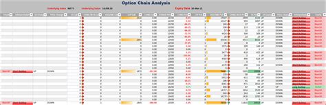 option chain analysis unleashing market insights for traders