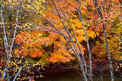 Theres A Difference Between Knowing The Path And Walking The Path