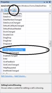 How To Create Autocomplete Combobox In A Datagridview Using C