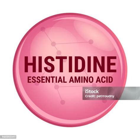 히스티딘의 아이콘입니다 약어 His를 가진 필수 아미노산 적색 분자 H 아미노산은 단백질의 생합성에 사용됩니다 건강관리와 의술에 대한 스톡 벡터 아트 및 기타 이미지
