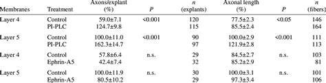 Thalamic Growth On Cortical Membranes From Layer 4 Or From Layer 5 Download Scientific Diagram