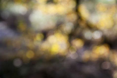 Uta Barth Challenging The Way We See Uta Barth Utas Nature Inspiration