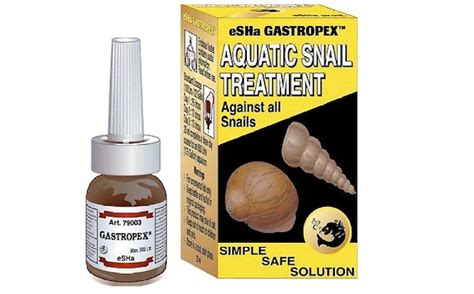 How Do I Reduce My Snail Population Practical Fishkeeping