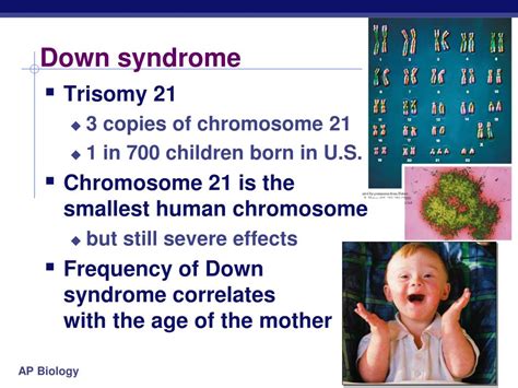 Ppt Errors Of Meiosis Chromosomal Abnormalities Powerpoint