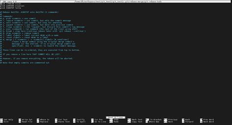 Git的基础使用 知乎
