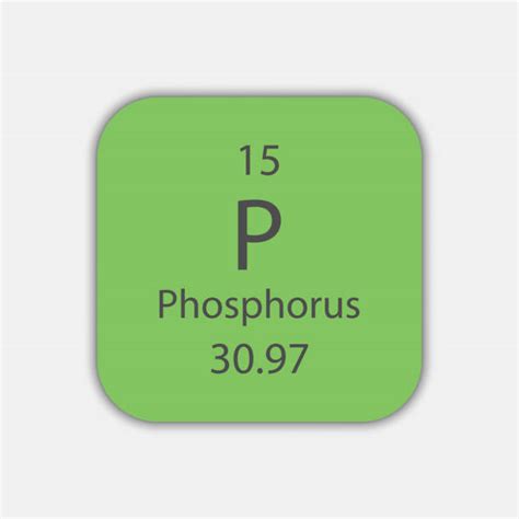 Phosphorus Element