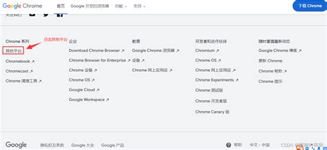 Linux安装谷歌浏览器（chrome）chrome Linux Csdn博客