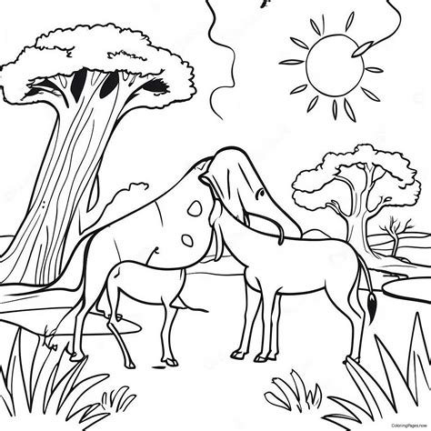 African Savanna Landscape Coloring Page 33173 26558
