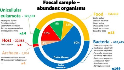 Gilbert Skorski Na Linkedin Microbiome Microbiota Metaproteomics Metagenomics