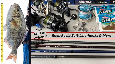 Surf Fishing Setups How To Choose The Right Saltwater Setup Rods
