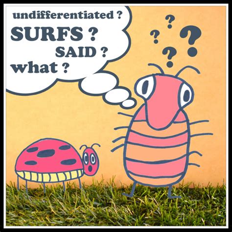 What Are Undifferentiated Autoinflammatory Diseases Systemic