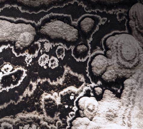 Matrix Exibart Prize