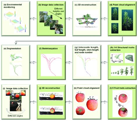 3dphenomvs A Structural Phenotypic Trait Estimation And Growth