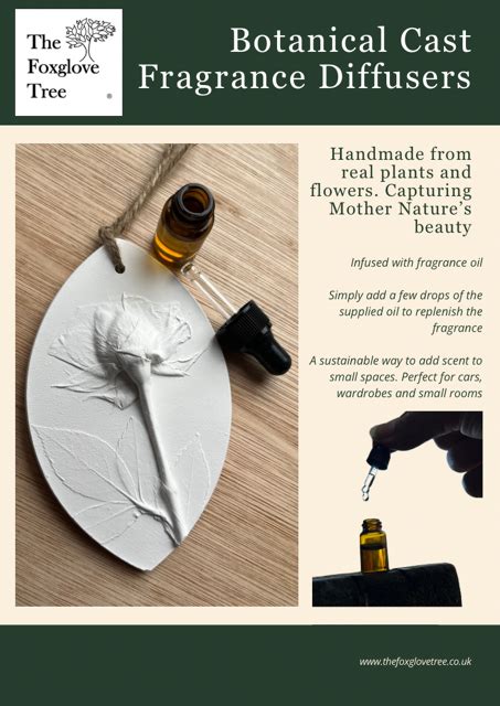 Botanical Cast Fragrance Diffusers Pos Home And T Buyers Festival 2025