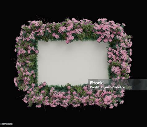 식물과 꽃이있는 꽃 직사각형 프레임 인사말 및 초대장 카드 3d 렌더링 0명에 대한 스톡 사진 및 기타 이미지 0명 가을 단풍 관목 Istock