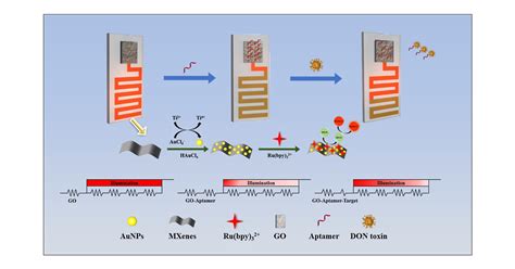 Visual Electrochemiluminescence Biosensor Chip Based On Distance Readout For Deoxynivalenol