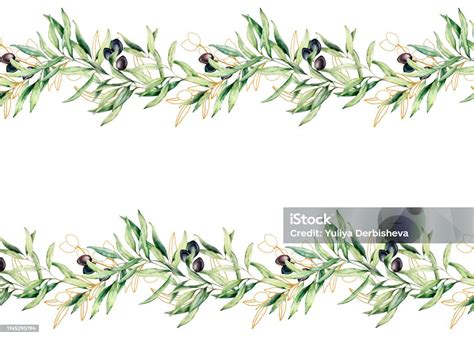 올리브 가지와 나뭇잎 수채화와 황금 스케치 원활한 국경 손으로 그린 꽃 그림 흰색 배경에 고립 디자인 또는 인쇄를 위한 식물 배너입니다 녹색 식물 올리브 가지에 대한 스톡