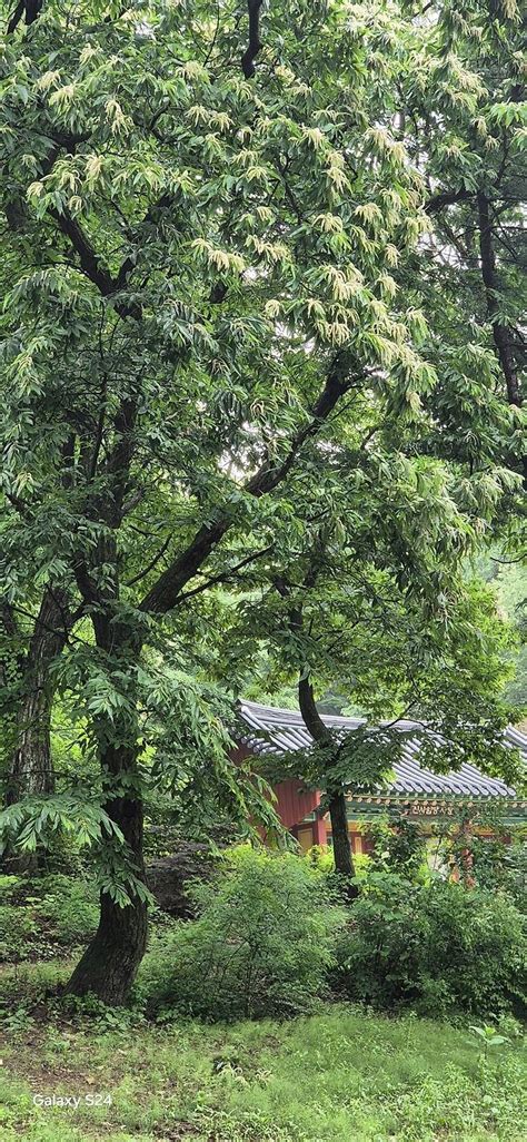 웃음 지으며 나를 바라보니