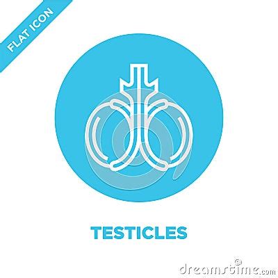 Testicles Icon Vector From Human Organs Collection Thin Line Testicles Outline Icon Vector
