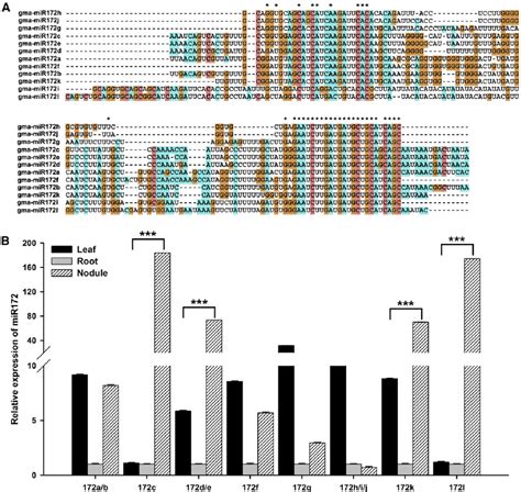 Sequence Alignments And Tissue Speci Fi C Expression Analysis Of Mir172