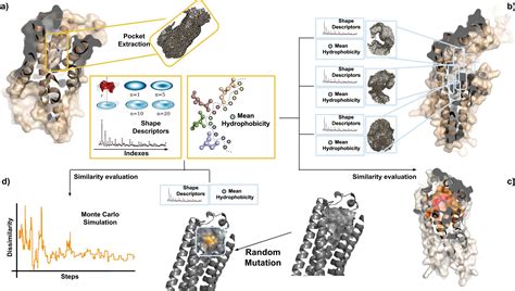 Computational Structural Based Gpcr Optimization For User Defined Ligand Implications For The