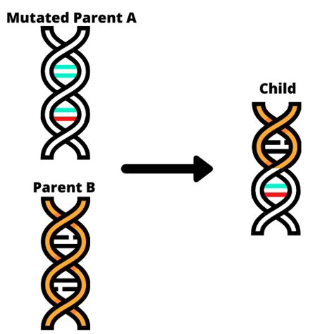 Github Arig23498ga Hyper Params Variable Length Genetic Algorithm